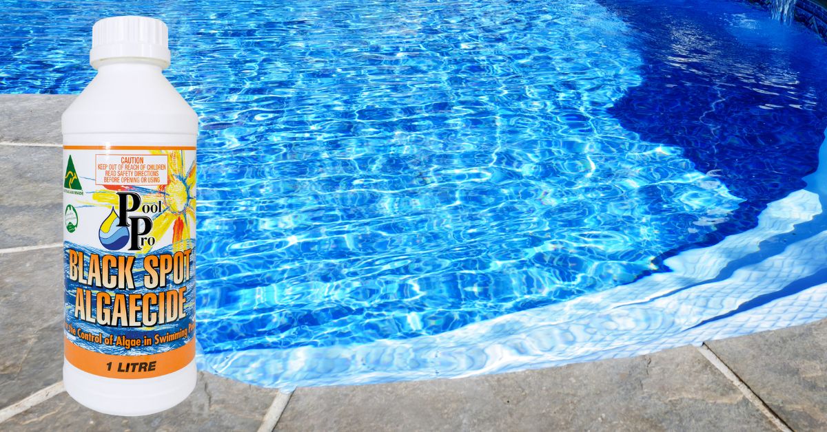 How do I remove black spot algae? - Pool Pro How do I remove black spot algae? - Pool Pro